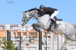 Beech House Farm Stud - Current Horses