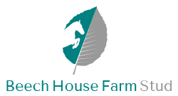 Beech House Farm Stud - Home