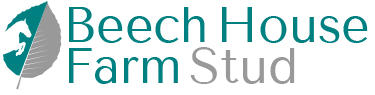 Beech House Farm Stud - Home