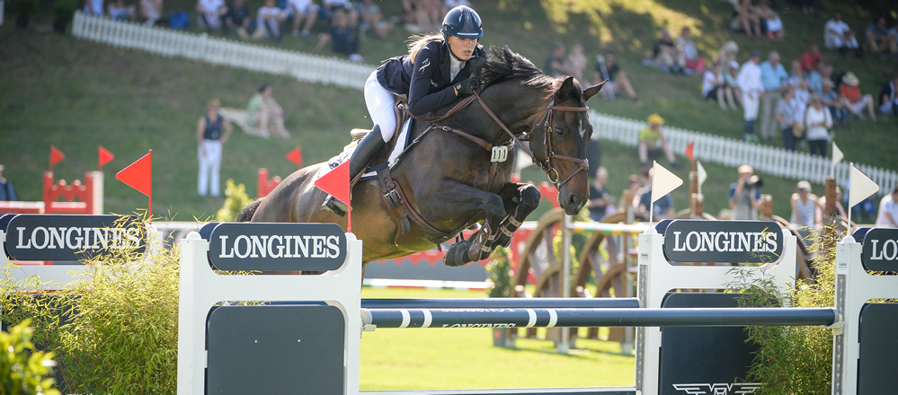 Beech House Farm Stud - Home